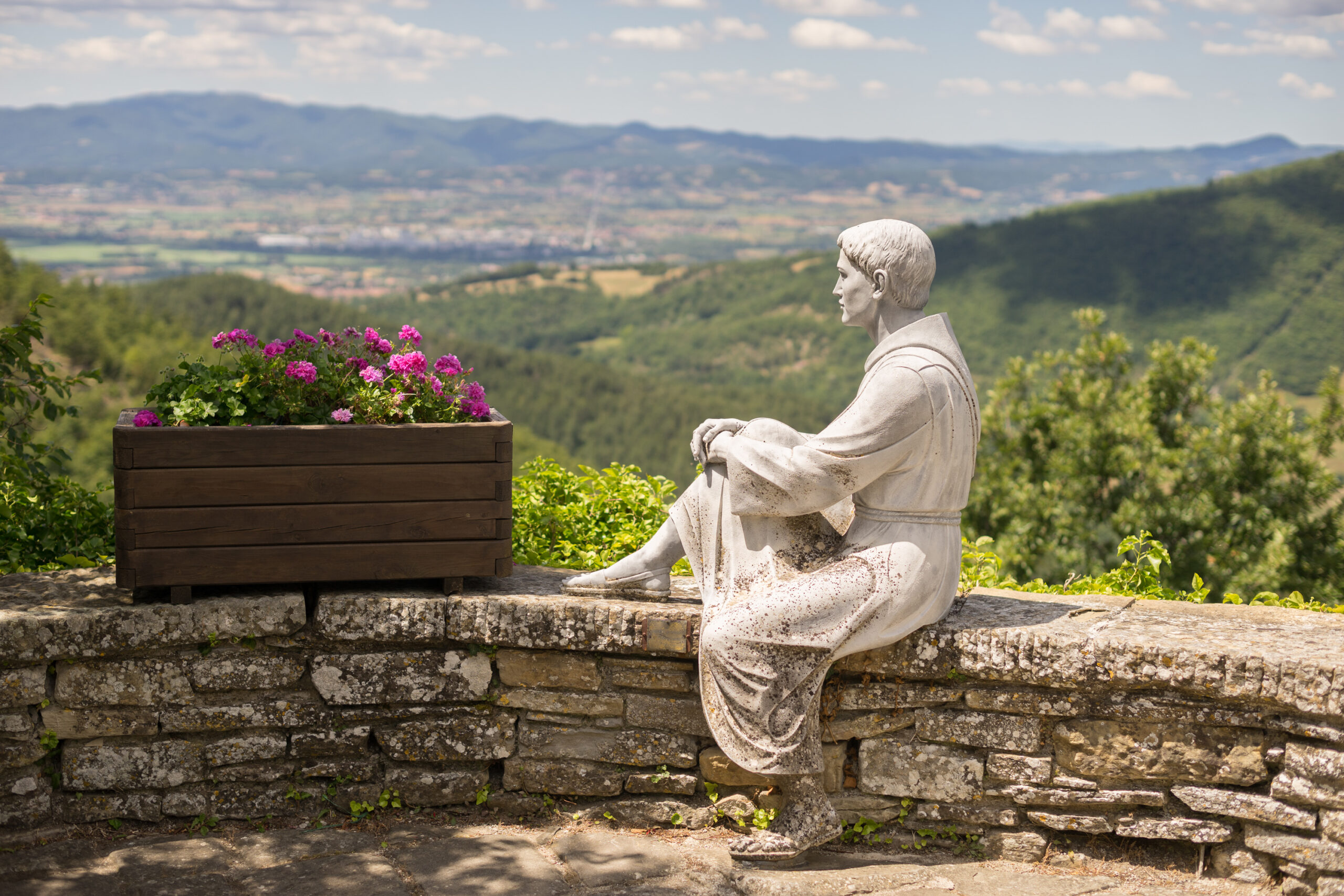 ST. FRANCIS WAY - Viadelsole